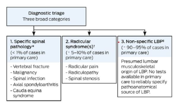 Lower Back Pain: Causes, Symptoms & Treatment