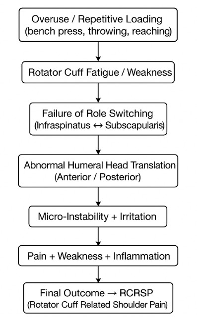 Rotator Cuff–Related Shoulder Pain - exerciseprescriptor